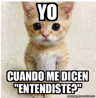 Meme Personalizado - yo cuando me dicen "entendiste?" - 33325262