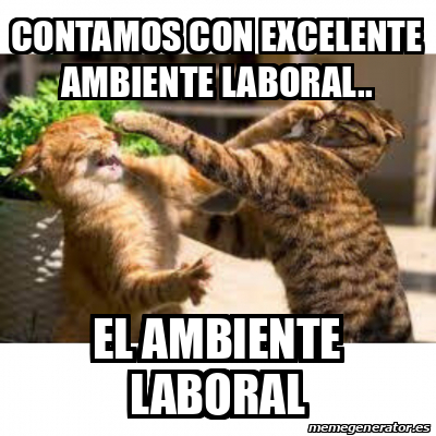 Meme Personalizado - contamos con excelente ambiente laboral.. el ...