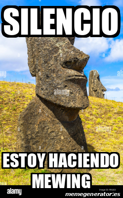 Meme Personalizado - SILENCIO estoy haciendo mewing - 33327619