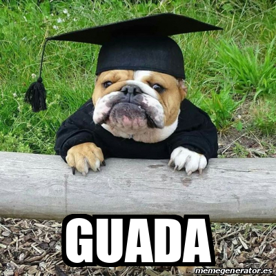 Meme Personalizado - Guada - 33328187