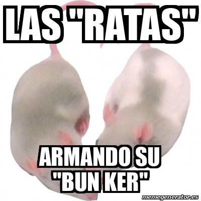 Meme Personalizado - LAS "RATAS" ARMANDO SU "BUN KER" - 33330187