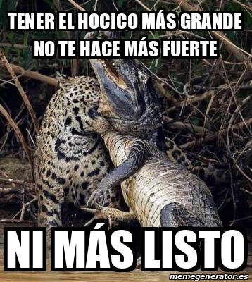 Meme Personalizado - Tener el hocico más grande no te hace más fuerte ...