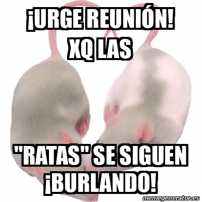 Meme Personalizado - ¡URGE REUNIÓN! XQ LAS "RATAS" SE SIGUEN ¡BURLANDO ...