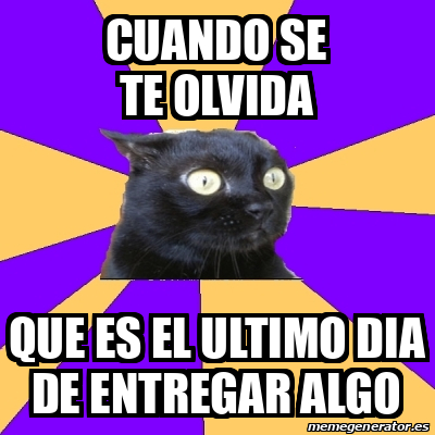 Meme Anxiety Cat - cuando se te olvida que es el ultimo dia de entregar ...