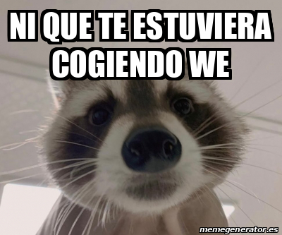 Meme Personalizado - Ni que te estuviera cogiendo we - 33333303