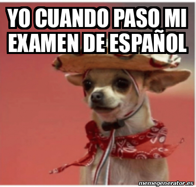 Meme Personalizado - YO CUANDO PASO MI EXAMEN DE ESPAÑOL - 33333312