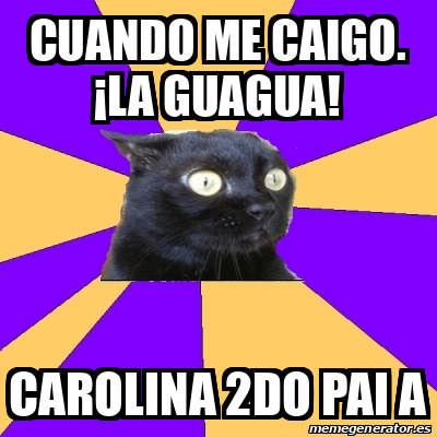 Meme Anxiety Cat - CUANDO ME CAIGO. ¡LA GUAGUA! CAROLINA 2DO PAI A ...