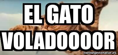 Meme Personalizado - el gato voladoooor - 33337022