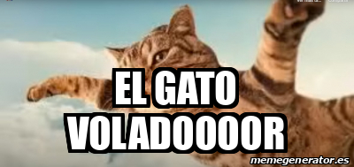 Meme Personalizado - EL GATO VOLADOOOOR - 33337023