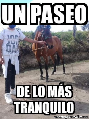 Meme Personalizado - Un paseo De lo más tranquilo - 33339040