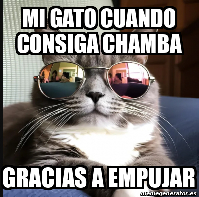 Meme Personalizado - mi gato cuando consiga chamba gracias a empujar ...
