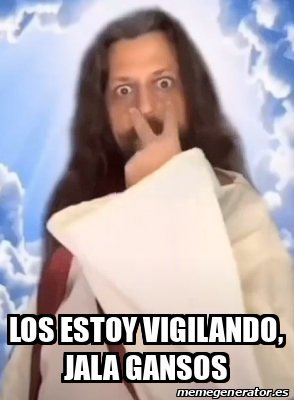 Meme Personalizado - los estoy vigilando, jala gansos - 33342968