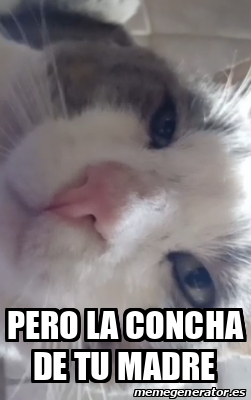 Meme Personalizado - pero la concha de tu madre - 33343768