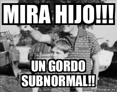 Meme Personalizado - MIRA HIJO!!! UN GORDO SUBNORMAL!! - 33344687