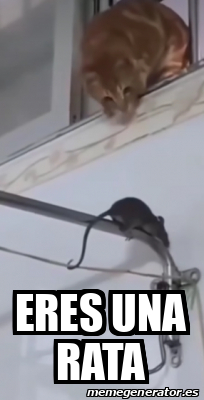 Meme Personalizado - eres una rata - 33350922