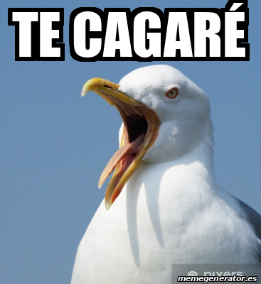 Meme Personalizado - te cagaré - 33351190