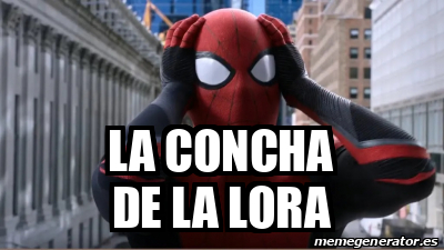 Meme Personalizado - LA CONCHA DE LA LORA - 33353326