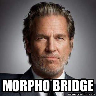 Meme Personalizado - Morpho bridge - 33355801