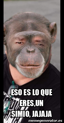 Meme Personalizado - Eso es lo que eres,un simio, jajaja - 33357546