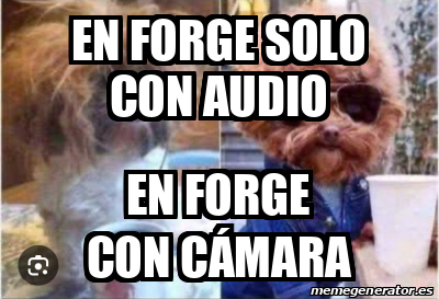 Meme Personalizado - En Forge solo con audio En Forge con cámara - 33358488
