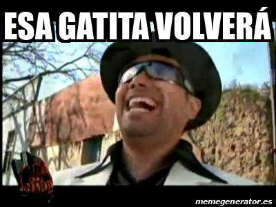 Meme Personalizado - Esa gatita volverá - 33365731