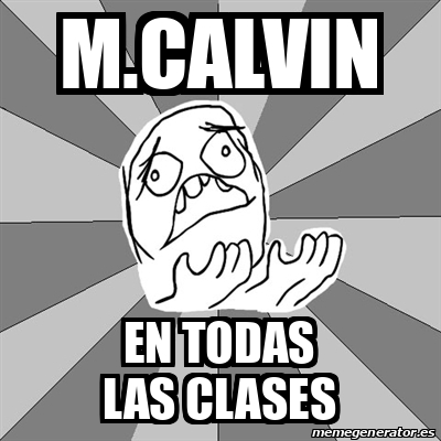 Meme Whyyy - M.Calvin En todas las clases - 33366901