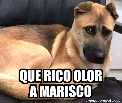 Meme Personalizado - que rico olor a marisco - 33369182