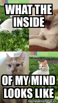 Meme Personalizado - What the inside Of my mind looks like - 33376533