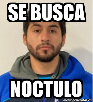 Meme Personalizado - SE BUSCA NOCTULO - 33377857