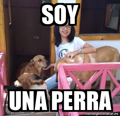 Meme Personalizado - soy una perra - 33384105