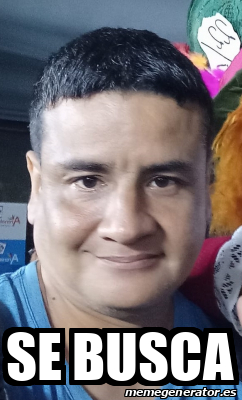Meme Personalizado - se busca - 33384213