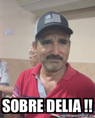 Meme Personalizado - Sobre Delia !! - 33387394