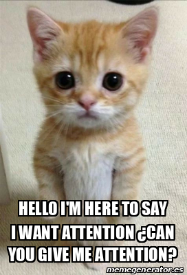 Meme Personalizado - Hello I'm here to say I Want attention ¿Can you ...