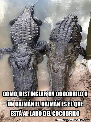 Meme Personalizado - Como distinguir un cocodrilo o un caimán el caimán ...