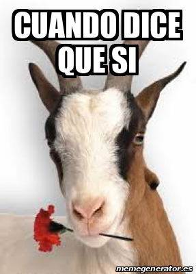 Meme Personalizado - Cuando dice que si - 33392564