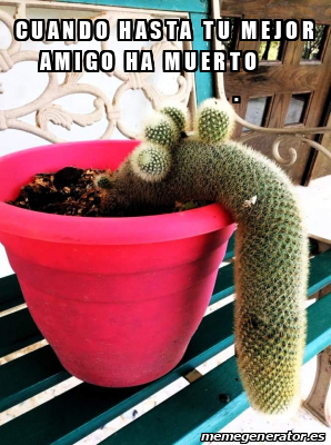 Meme Personalizado - c u a n d o h a s t a t u m e j o r a m i g o h a m u e r t o . - 33394357