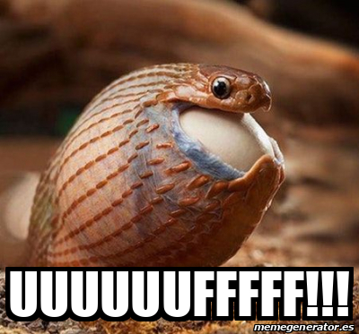 Meme Personalizado - UUUUUUFFFFF!!! - 33395861