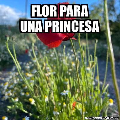 Meme Personalizado - Flor Para Una Princesa - 33396986