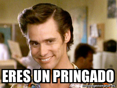 Meme Personalizado - ERES UN PRINGADO - 33398105