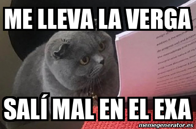 Meme Personalizado - me lleva la verga salí mal en el exa - 33399482