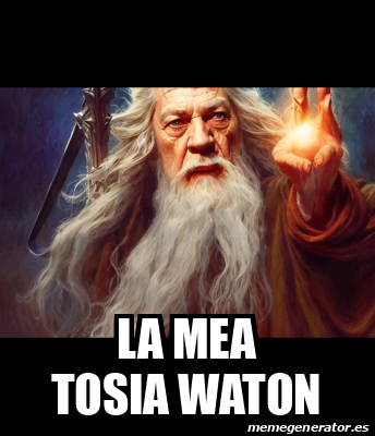 Meme Personalizado - La mea tosia waton - 33401710