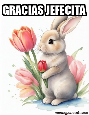 Meme Personalizado - GRACIAS JEFECITA - 33403329