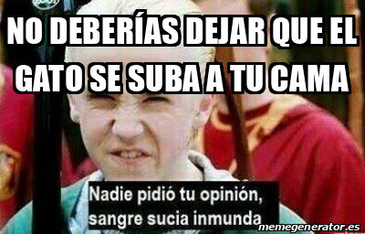 Meme Personalizado - No deberías dejar que el gato se suba a tu cama ...