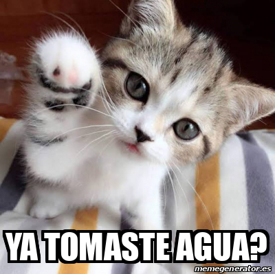 Meme Personalizado - Ya tomaste agua? - 33405106