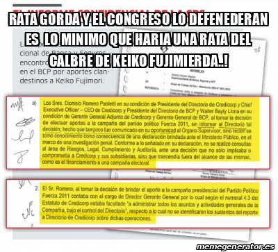 Meme Personalizado - RATA GORDA Y EL CONGRESO LO DEFENEDERAN ES LO ...