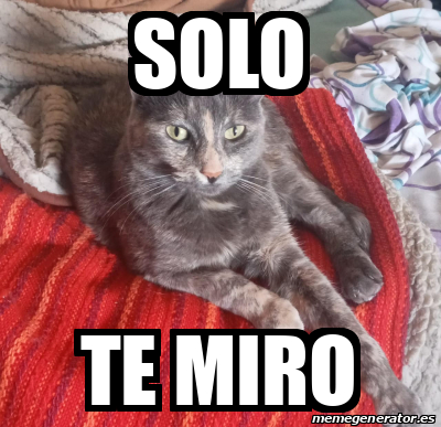Meme Personalizado - solo te miro - 33420558