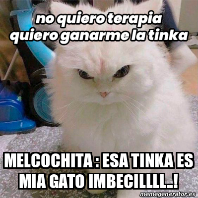 Meme Personalizado - MELCOCHITA : esa tinka es mia gato imbecillll ...