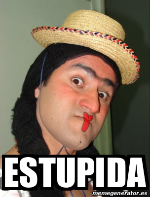 Meme Personalizado - Estupida - 33422520