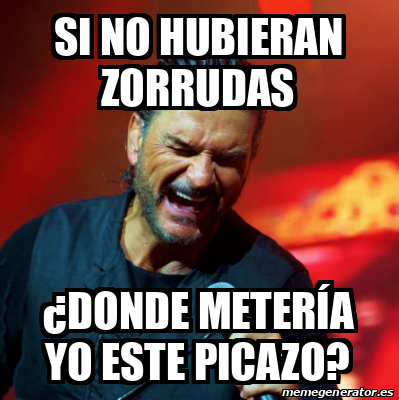 Meme Personalizado - SI NO HUBIERAN ZORRUDAS ¿DONDE METERÍA YO ESTE ...