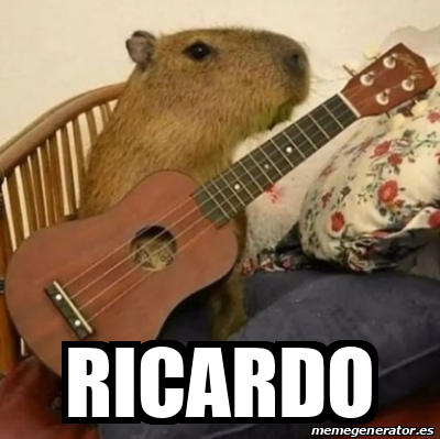 Meme Personalizado - ricardo - 33424428